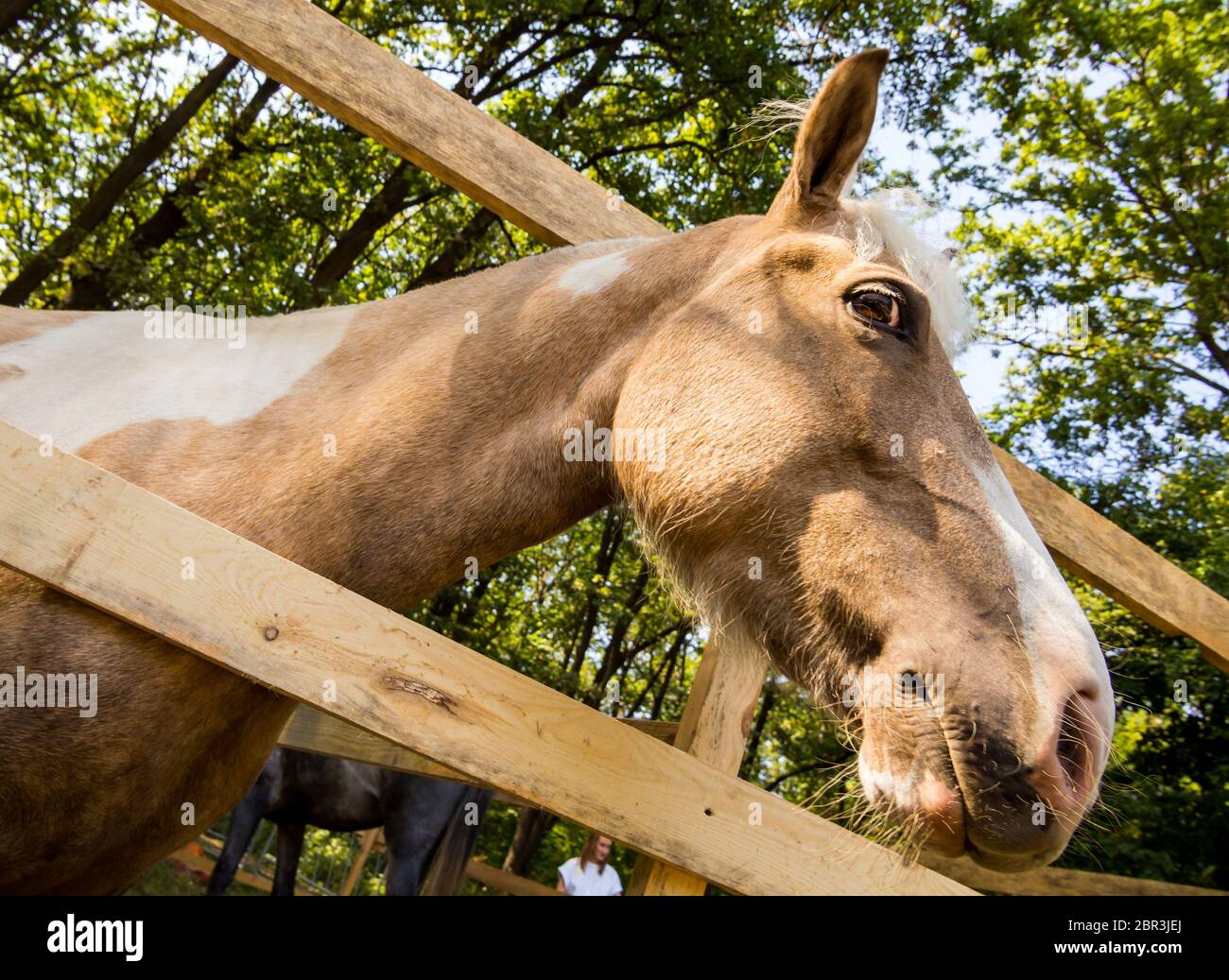 Peep boards hi-res stock photography and images - Alamy