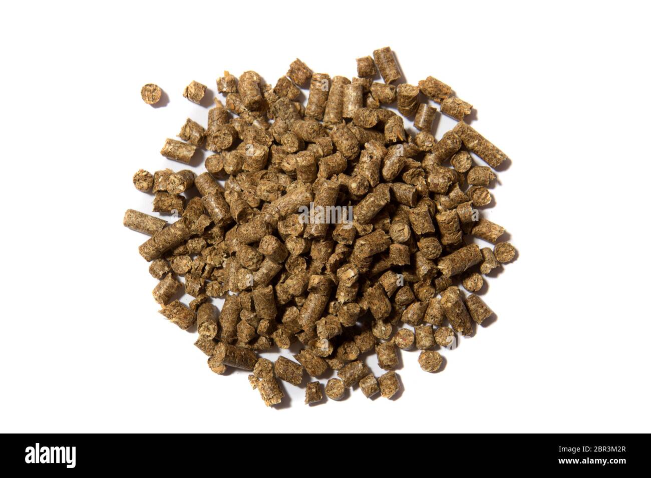 Light brown pressed solid wooden pellets granules on white background ...