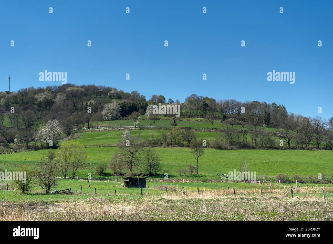 Landscape of the nature sanctuary of the german city called Hallenberg ...