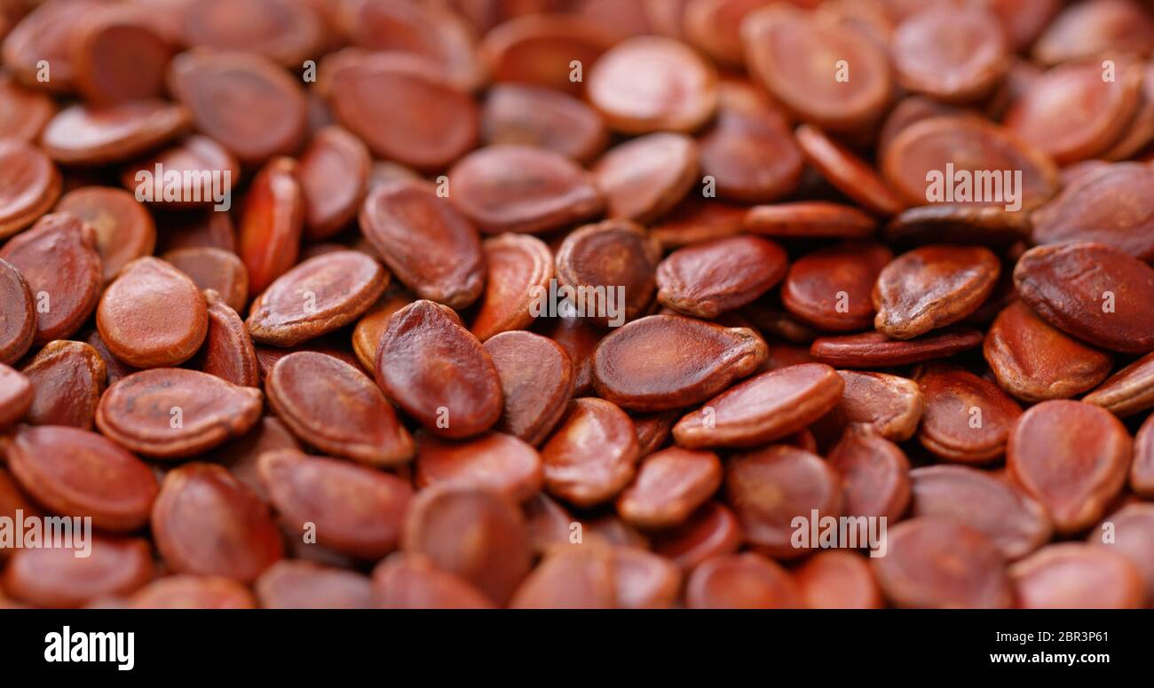 Chinese new year red melon seed Stock Photo - Alamy