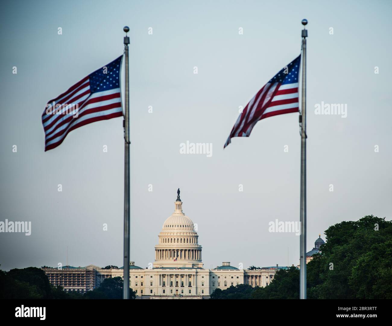 American flags with the United States Capital building in the ...