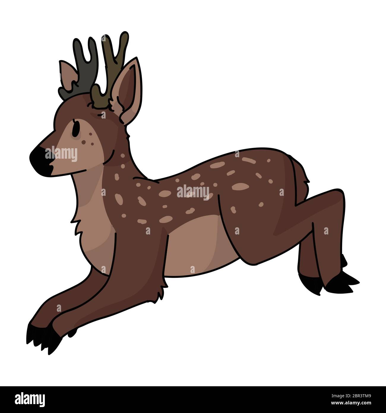 How To Draw A Cute Buck Deer How To Draw A Deer (Red Deer) VIDEO