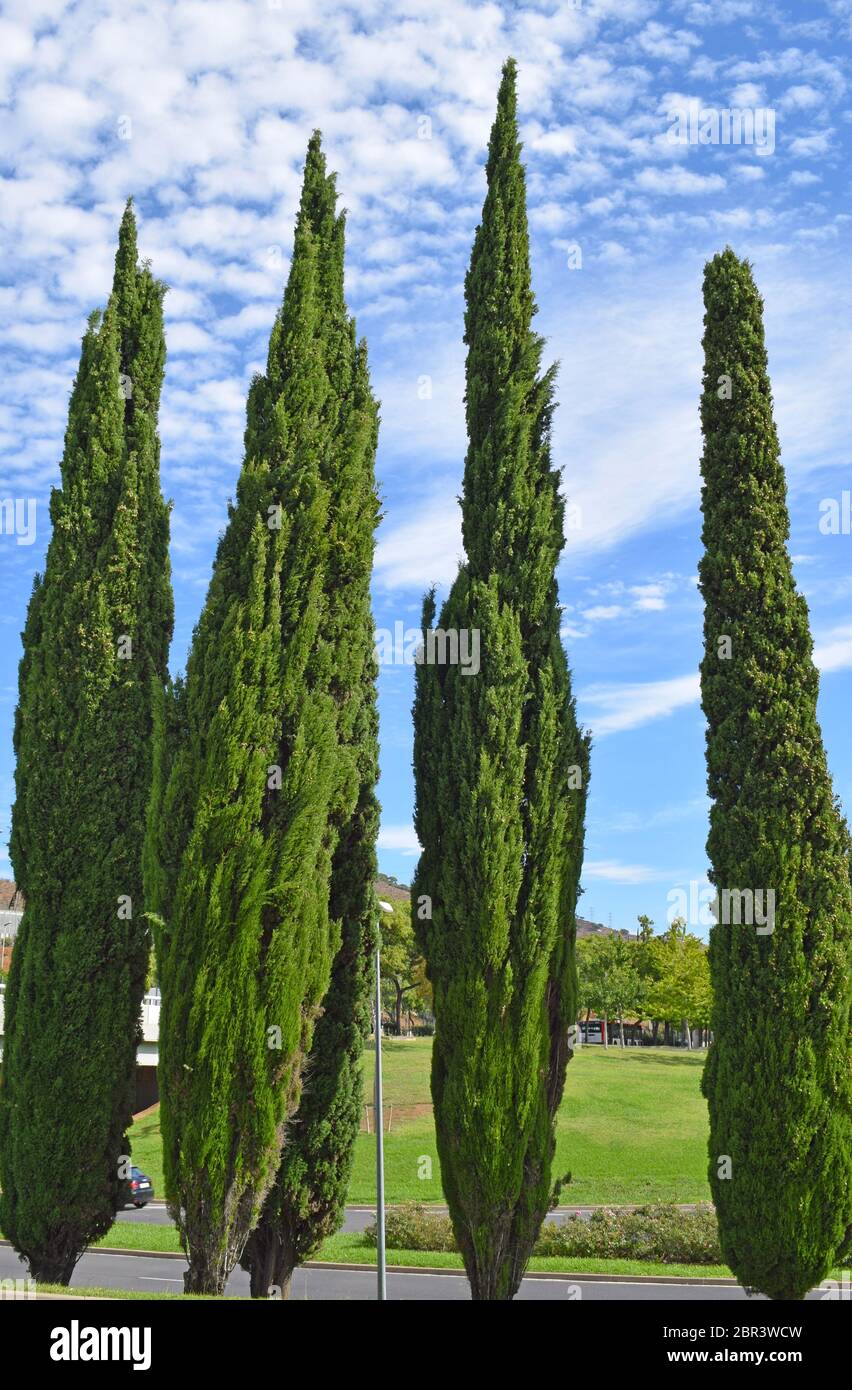 Hebron valley park hi-res stock photography and images - Alamy
