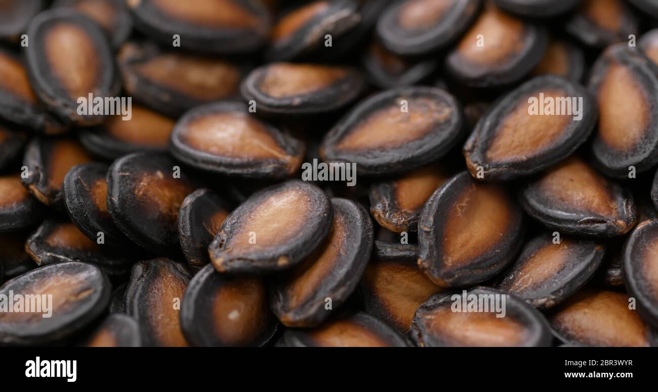 Black watermelon seed Stock Photo - Alamy