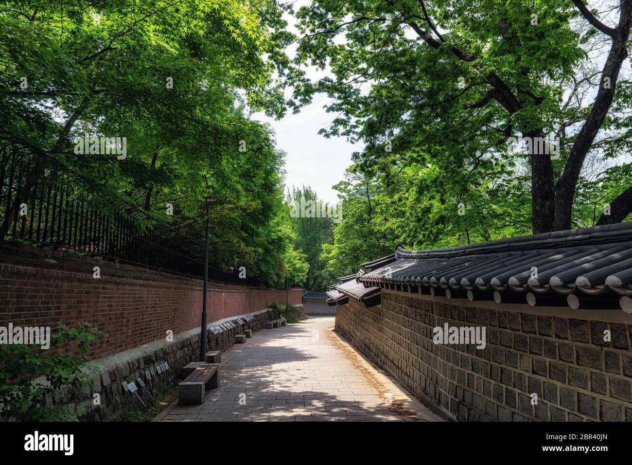 doldam road pathway surrounding deoksugung palace in seoul, south korea ...