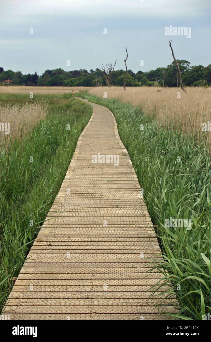 Raised wooden plank boardwalk hi-res stock photography and images - Alamy