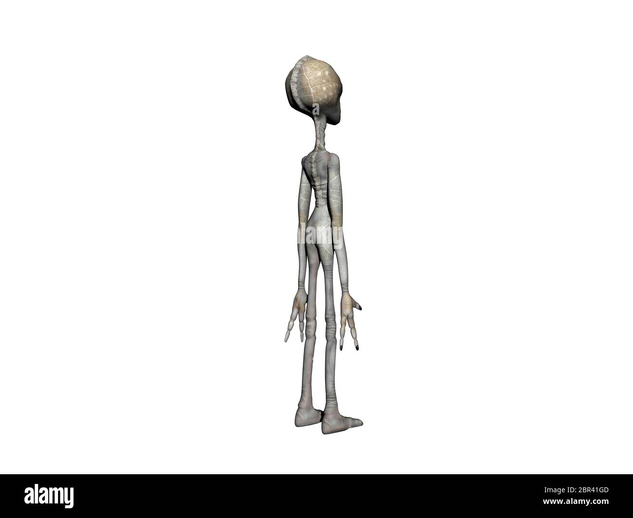 arid aliens of delicate physique 3D rendering Stock Photo - Alamy
