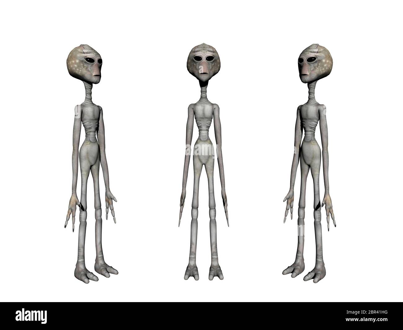 Tall Grey Aliens