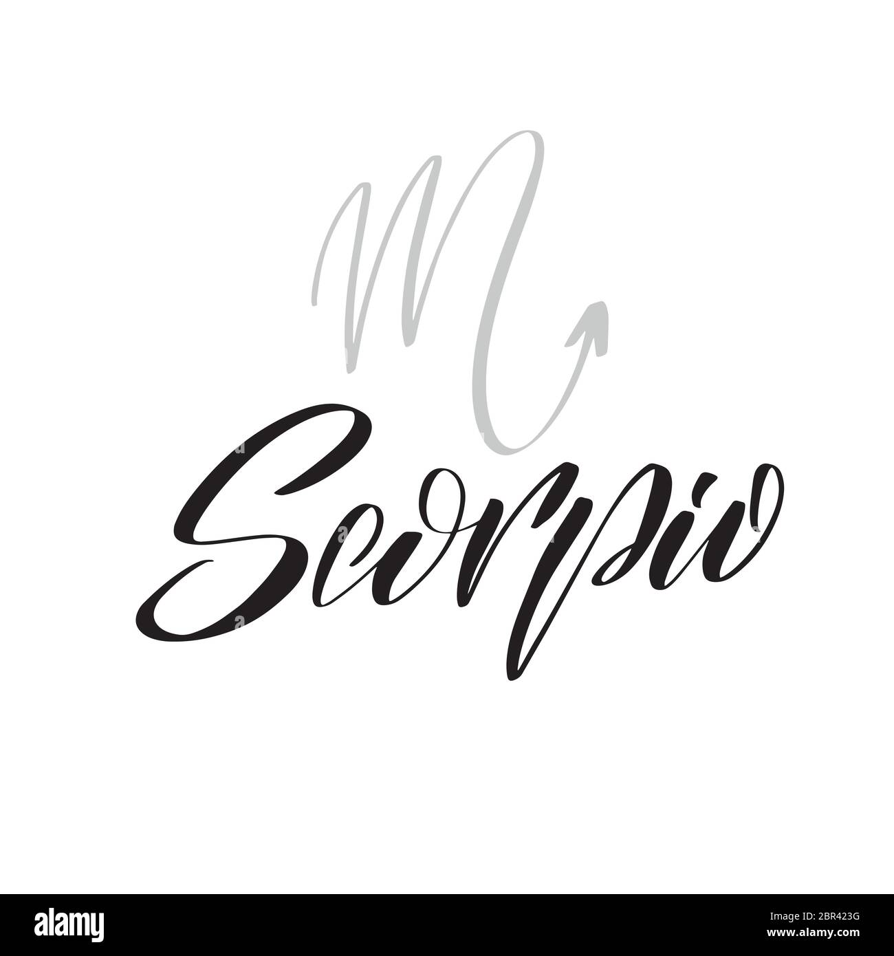 Vector calligraphy illustration isolated on white background Stock ...