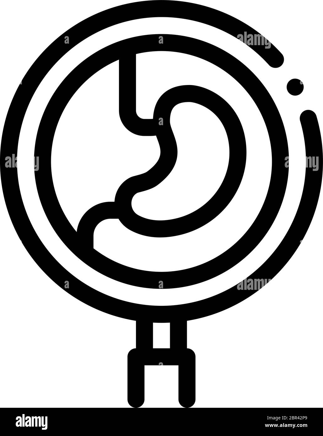 detailed study of stomach icon vector outline illustration Stock Vector ...