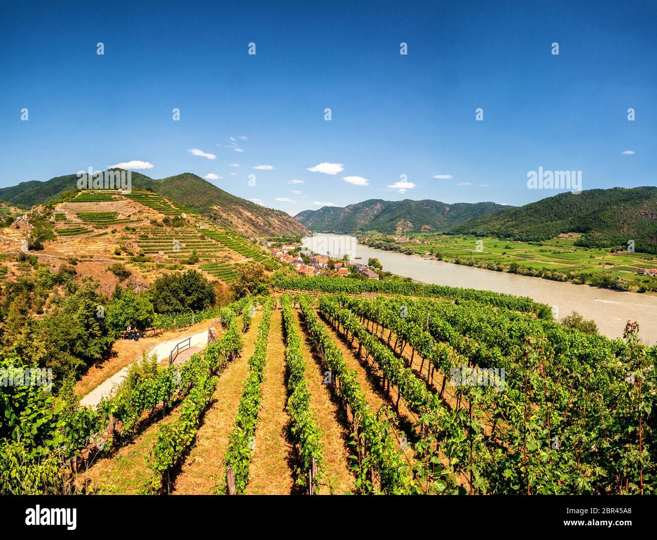 Scenic View into the Wachau with the river Danube. Spitz. Austria Stock ...