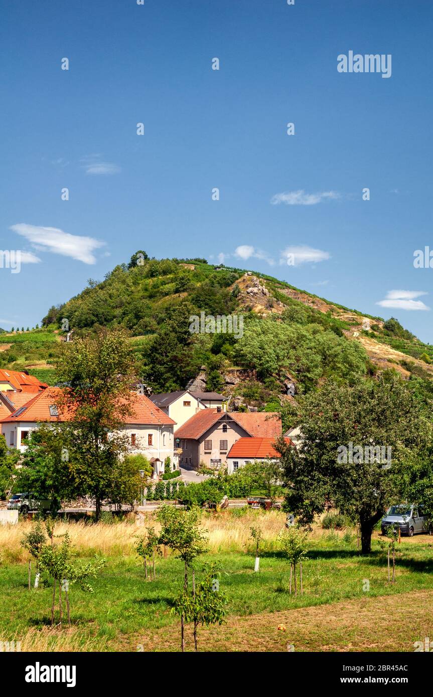Scenic View into the Wachau with the river Danube. Spitz. Austria Stock ...