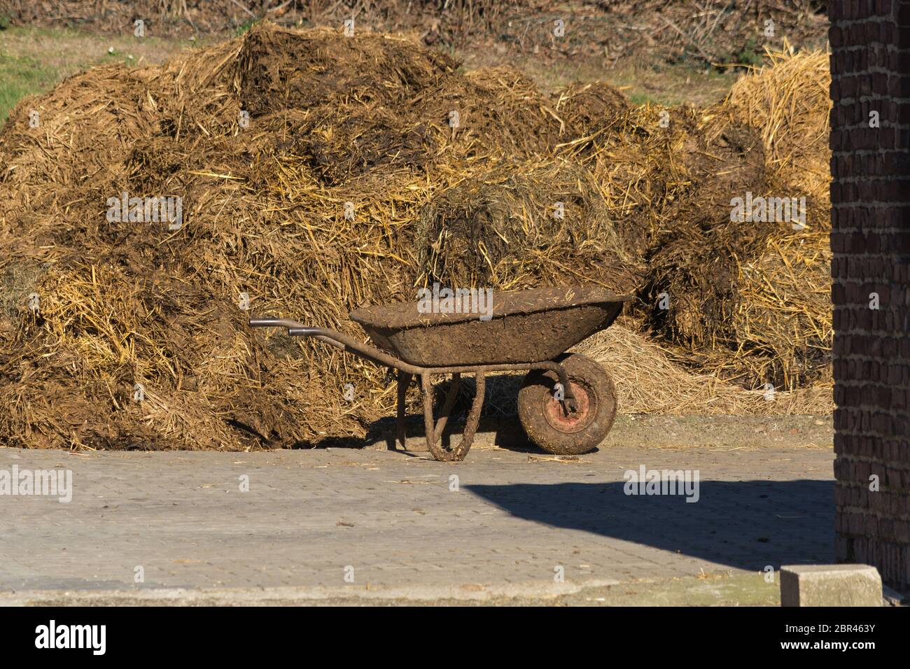 Pile of stinking dung. Manure heap on a farmhouse in Germany Stock ...