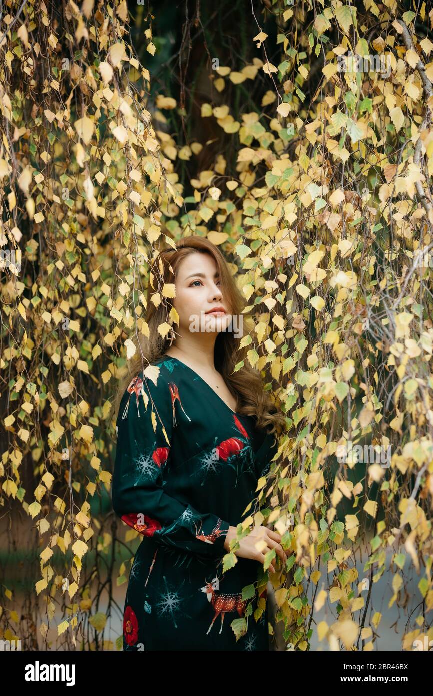 Beautiful asian woman with autumn leaves in hand and fall yellow leaves ...