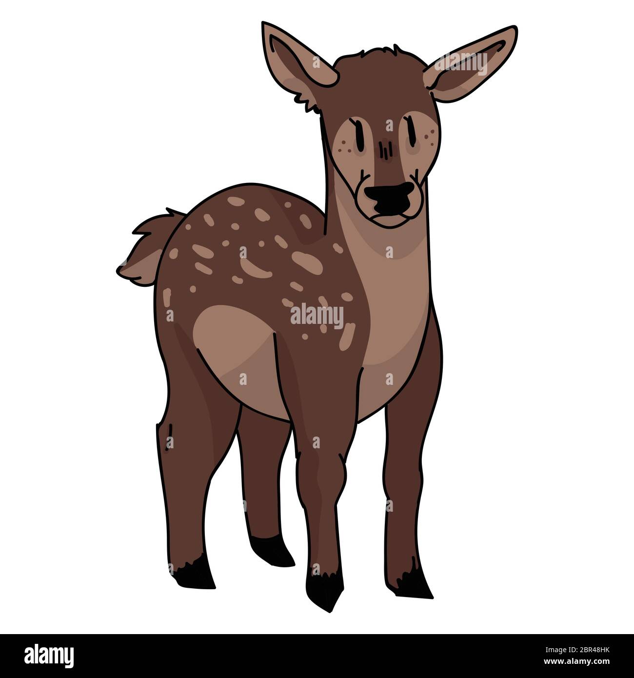 Roe deer doe and kids hi-res stock photography and images - Alamy