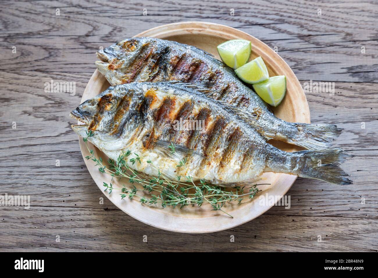 Dorade royale hi-res stock photography and images - Alamy