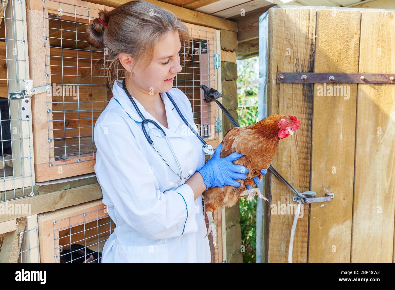 Happy young veterinarian woman with stethoscope holding and examining ...