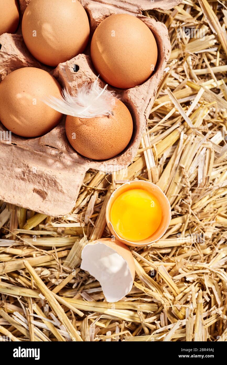 Healthy organic free range hens egg broken open to reveal the bright ...