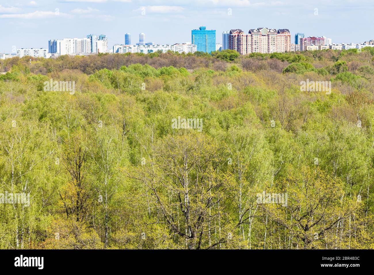 skyline with city park with lush green foliage in Moscow city in spring ...