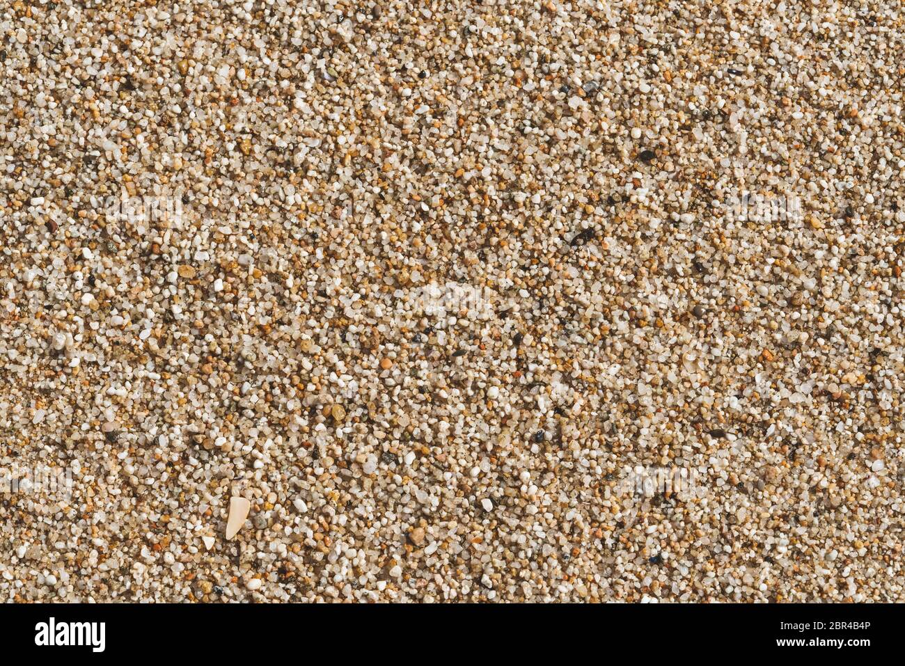 Texture of clean beach sand on a sunny day Stock Photo - Alamy