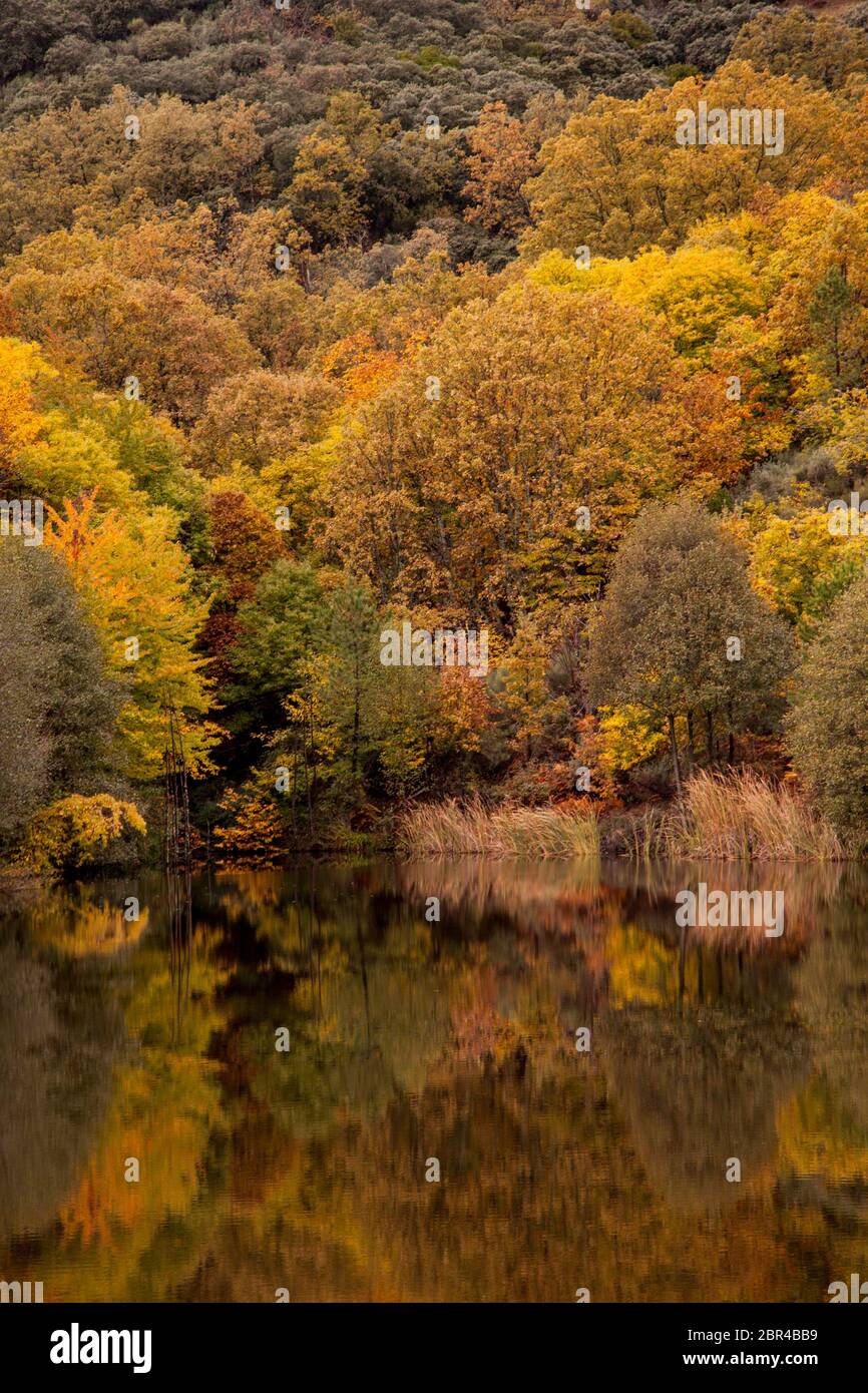Water colo hi-res stock photography and images - Alamy