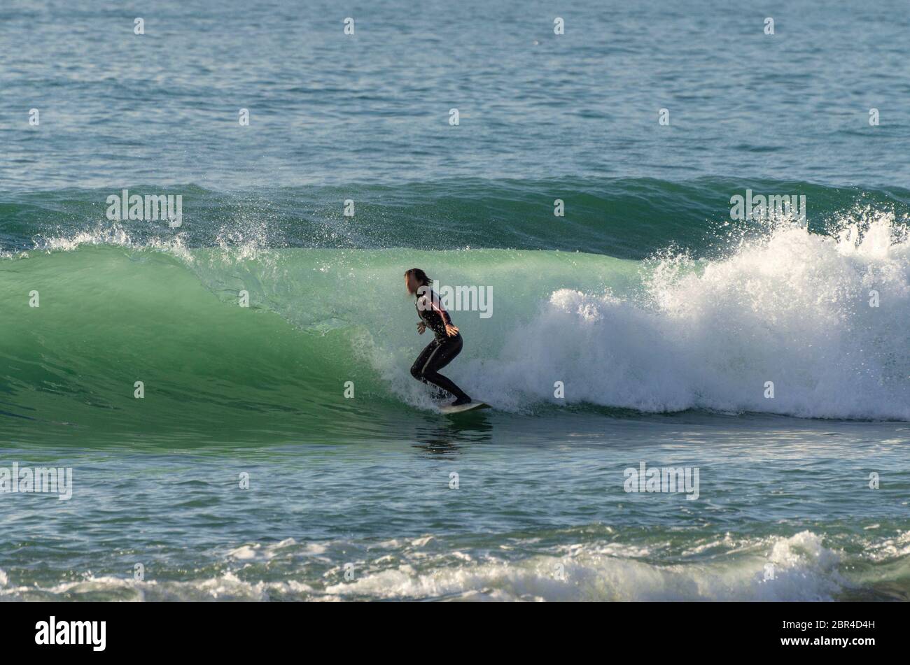 Surfer riding the waves of the sea Stock Photo - Alamy