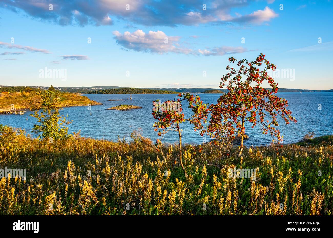 Sunset over Oslofjord harbor seen Nakholmen island within Oslo Harbor ...