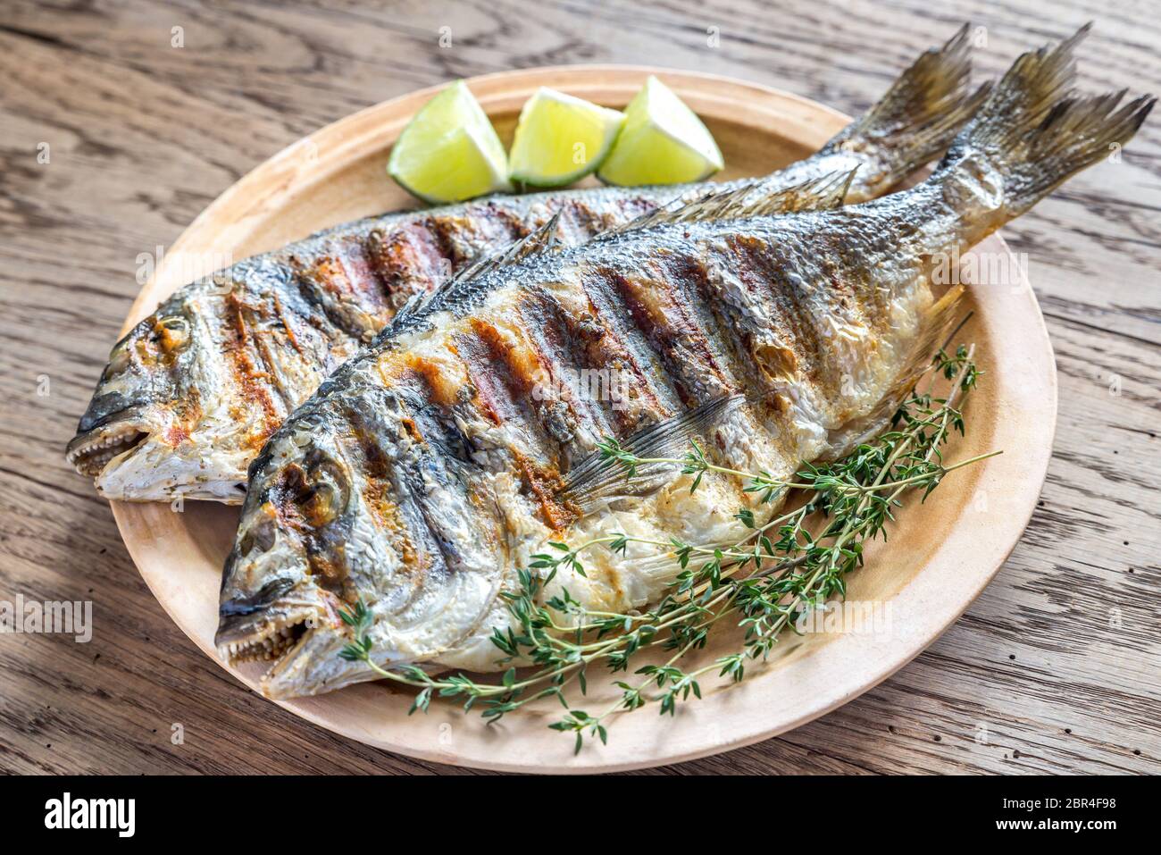 Dorade Royale Fish Stock Photo - Alamy