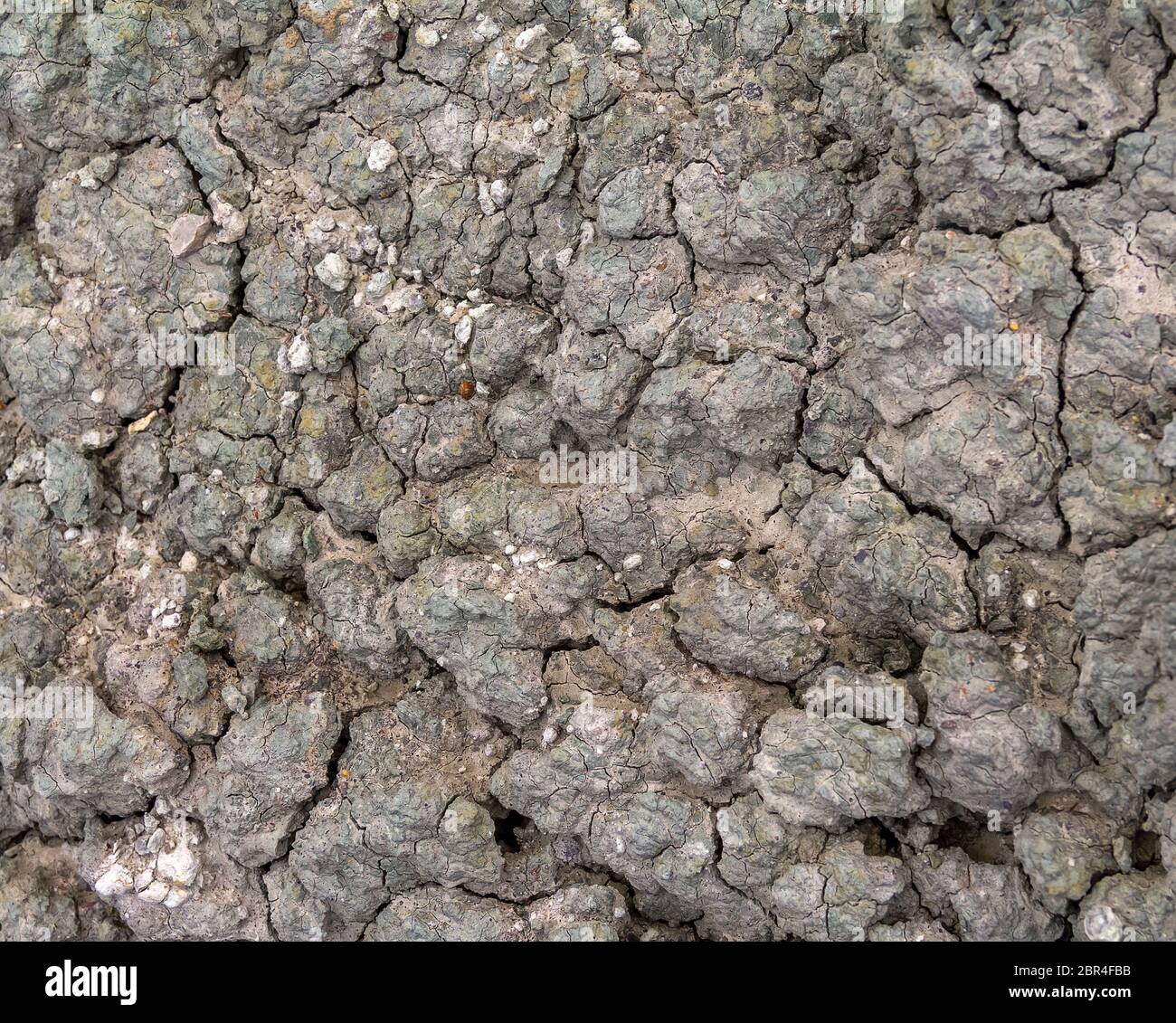 Fissured clay hi-res stock photography and images - Alamy