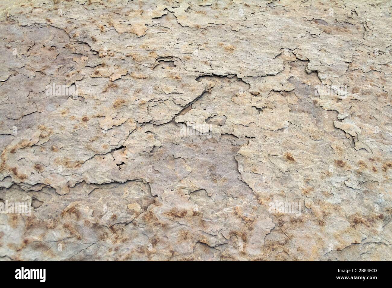 Stone surface detail hi-res stock photography and images - Alamy