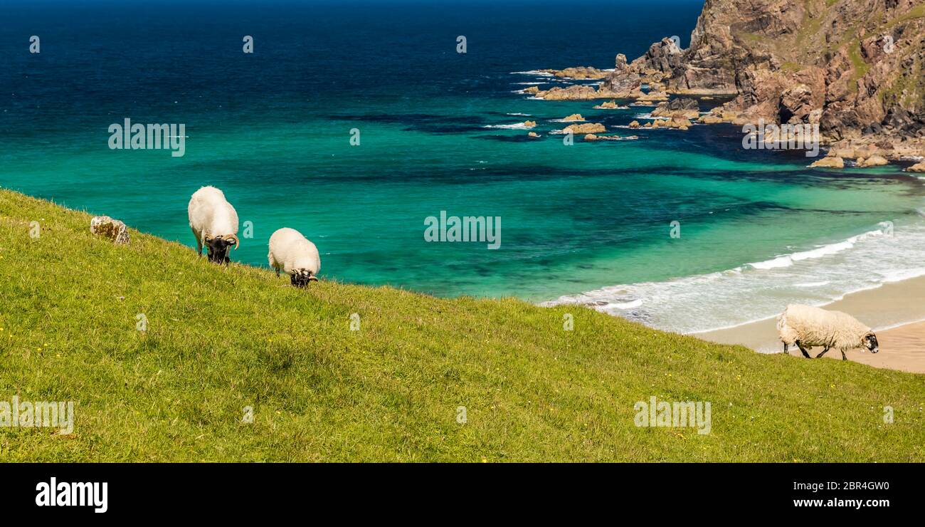 A lonely bay with deserted sandy beach and turquoise blue sea. On the ...