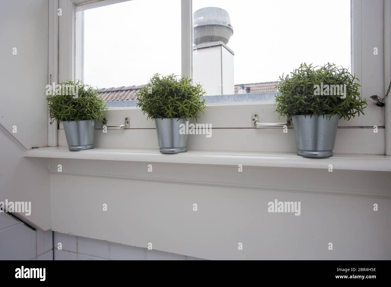 The stylish interior of home garden with different ceramic and concrete ...