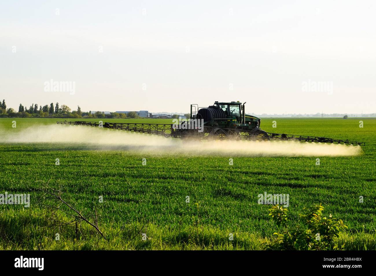 Tractor with the help of a sprayer sprays liquid fertilizers on young ...