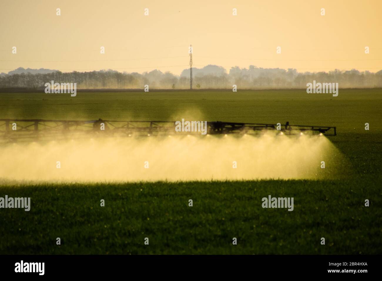 Jets of liquid fertilizer from the tractor sprayer. Tractor with the ...
