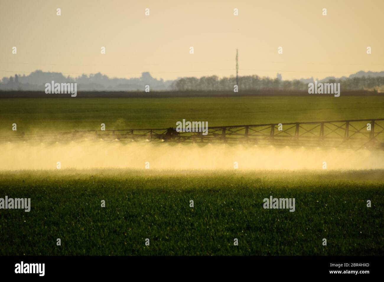Jets of liquid fertilizer from the tractor sprayer. Tractor with the ...