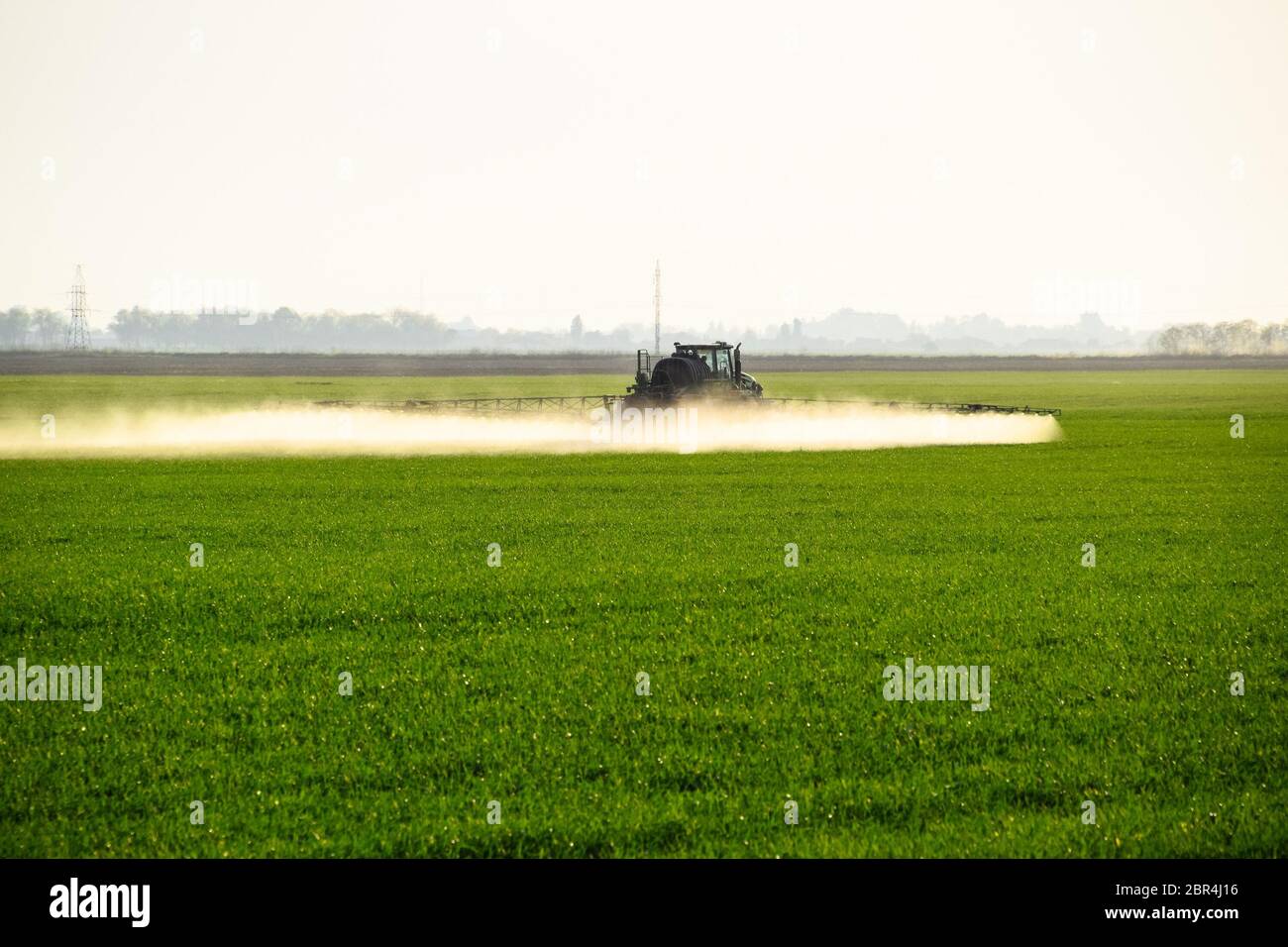 Tractor with the help of a sprayer sprays liquid fertilizers on young ...