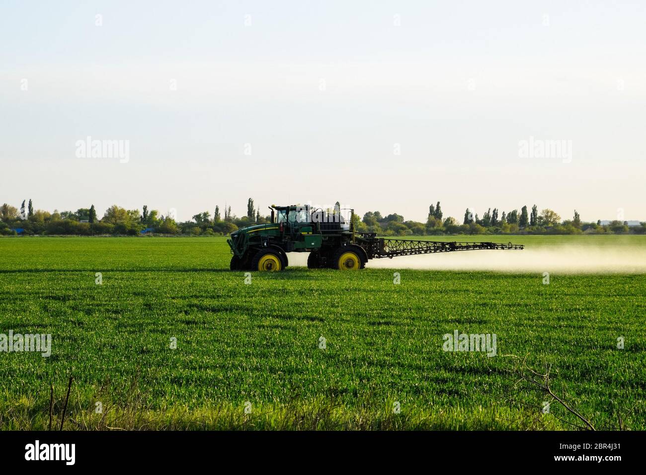 Tractor with the help of a sprayer sprays liquid fertilizers on young ...