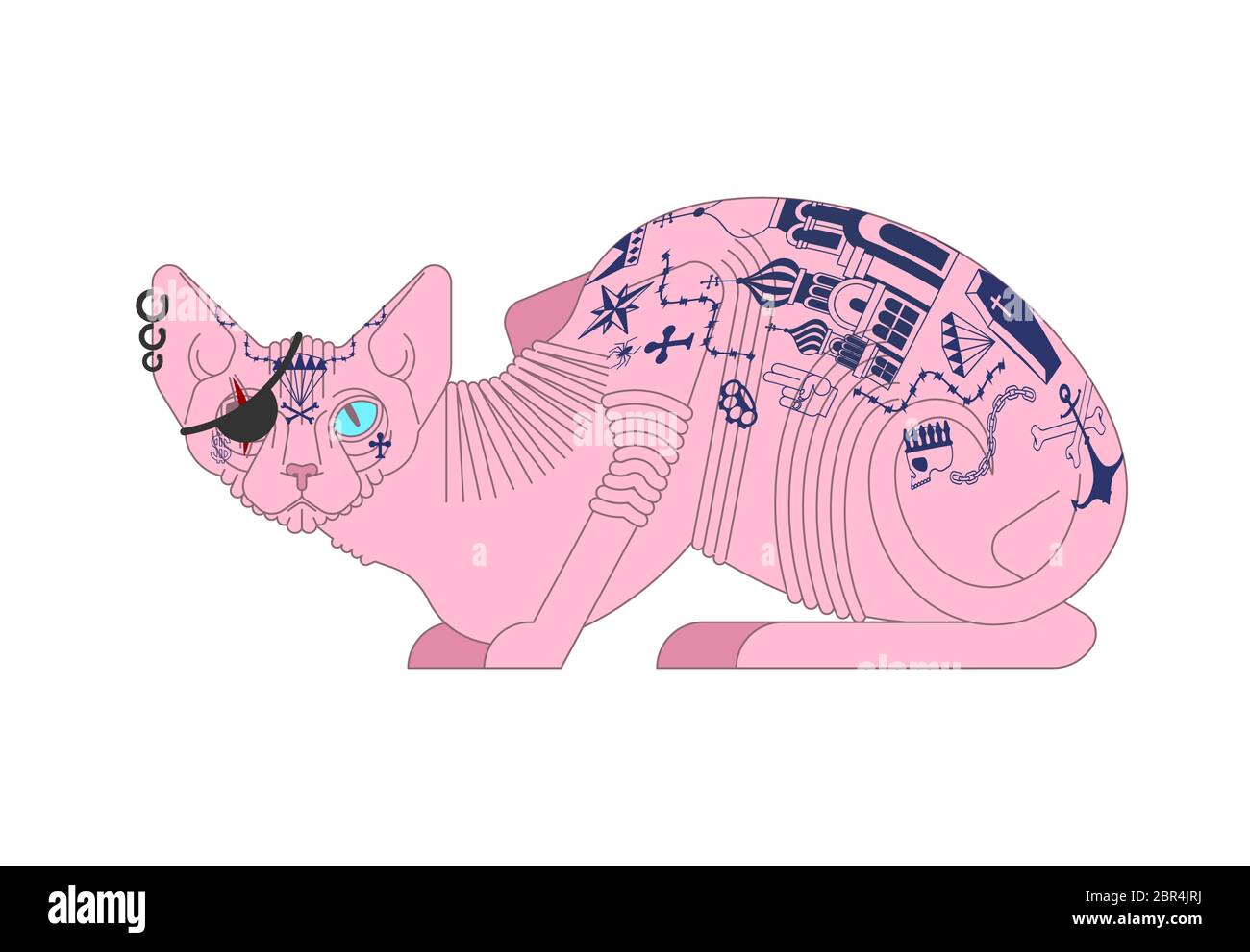 Sphynx cat with tattoo. Pet bully and criminal. Bad boy animal Stock ...