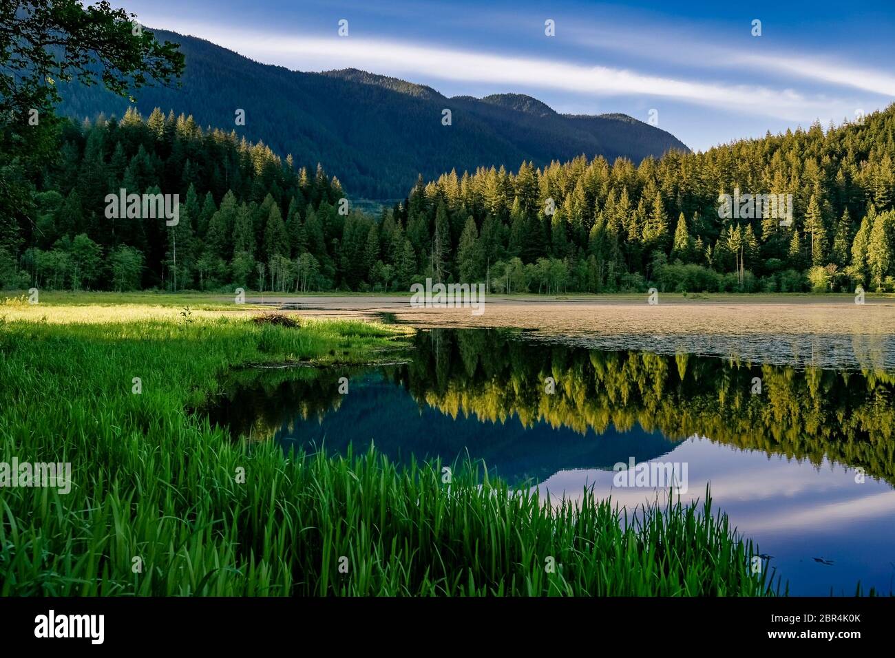 Minnekhada regional park hi-res stock photography and images - Alamy
