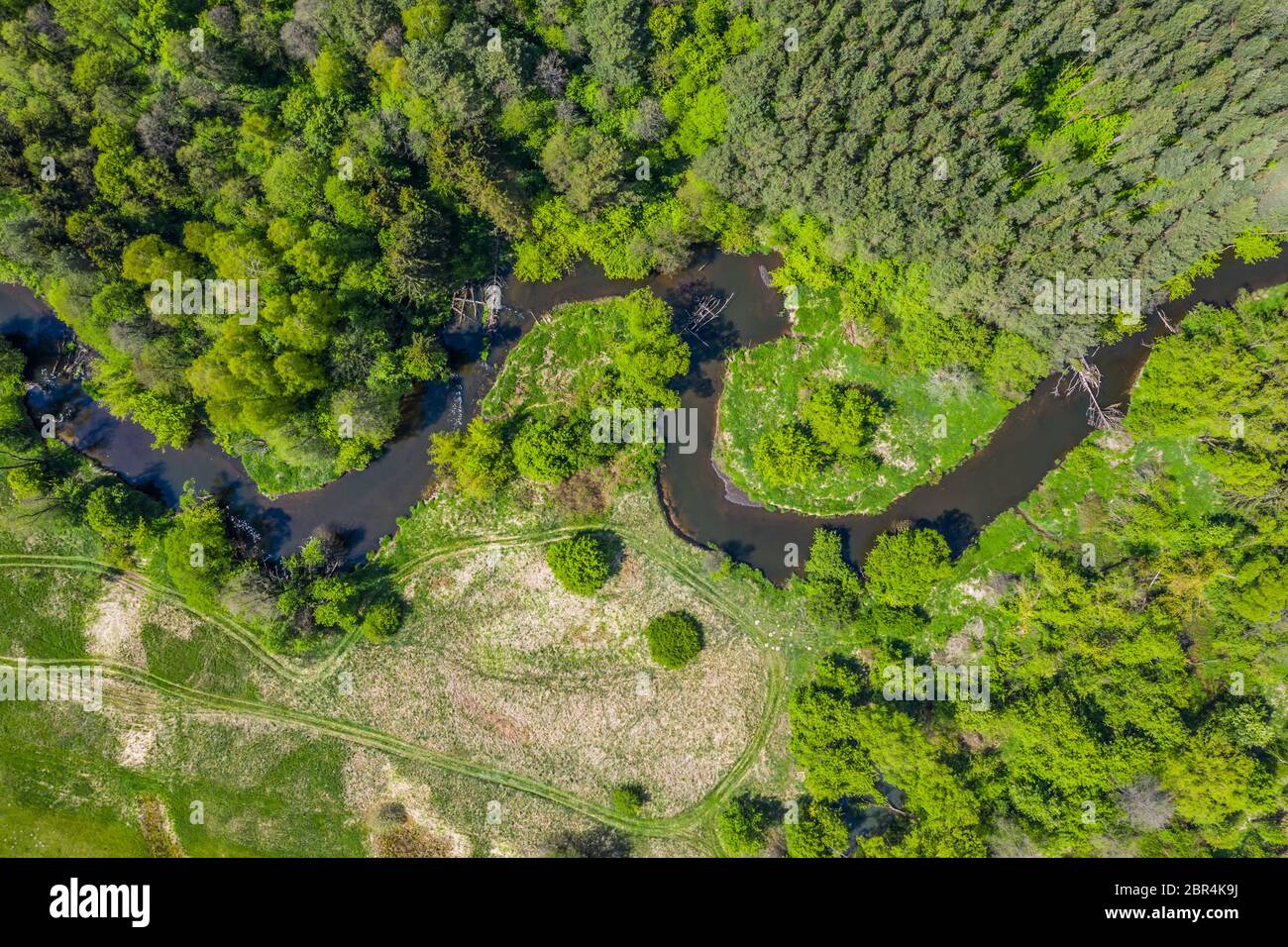 Aerial view of Nida river in Poland. Natural bends Stock Photo - Alamy