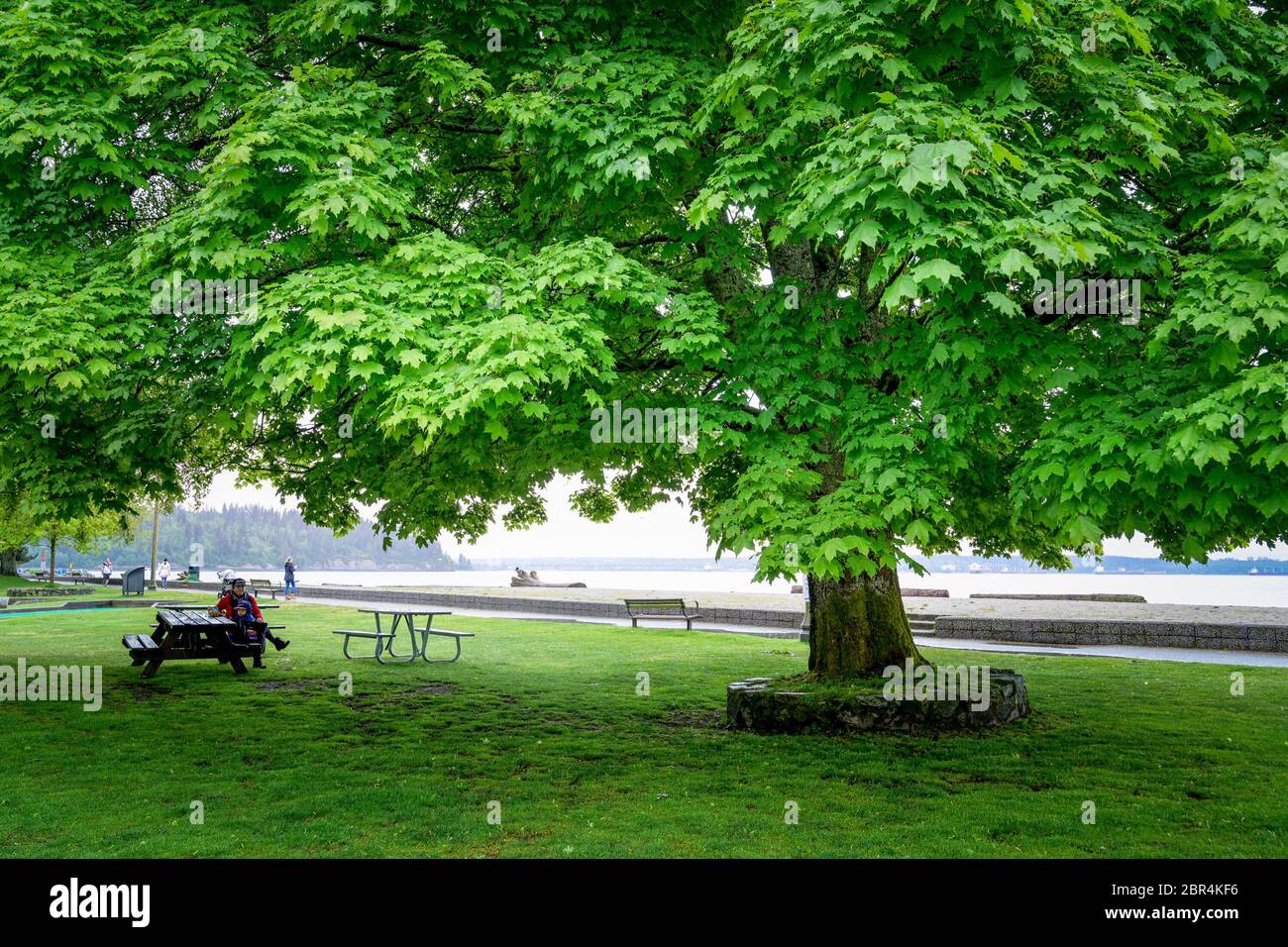 Ambleside Park, West Vancouver, British Columbia, Canada Stock Photo ...