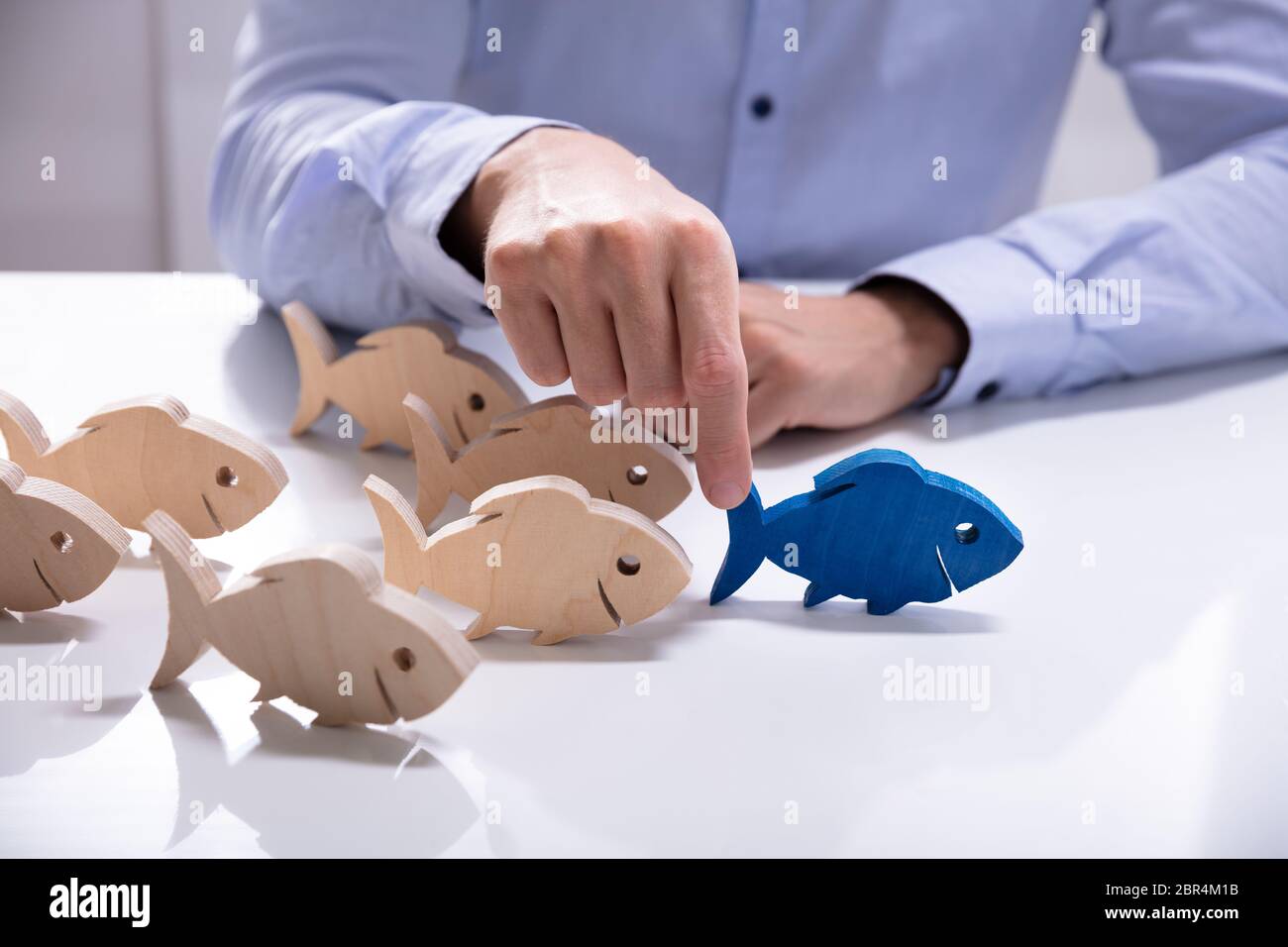 Hand Holding Blue Fish Leading Other Fish Stock Photo - Alamy