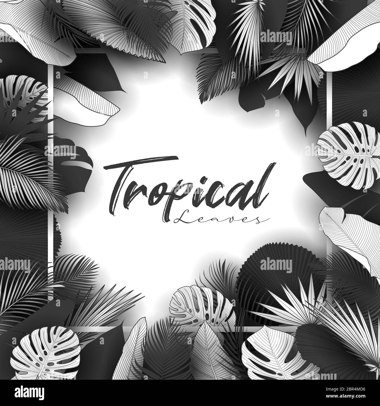 Modern set tropical leaves Black and White Stock Photos & Images - Alamy