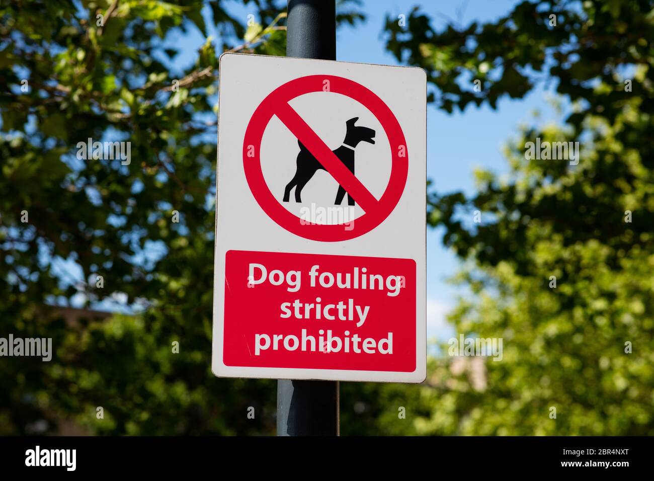 Dog fouling strictly prohibited sign Stock Photo - Alamy Dog fouling strictly prohibited sign Stock Photo - Alamy