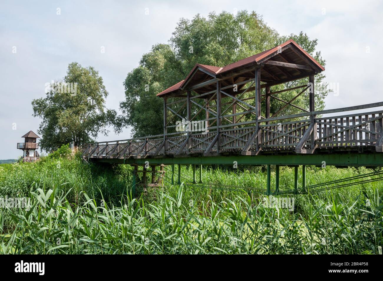 The Bridge at Andau was the escape route for about 70,000 Hungarian ...