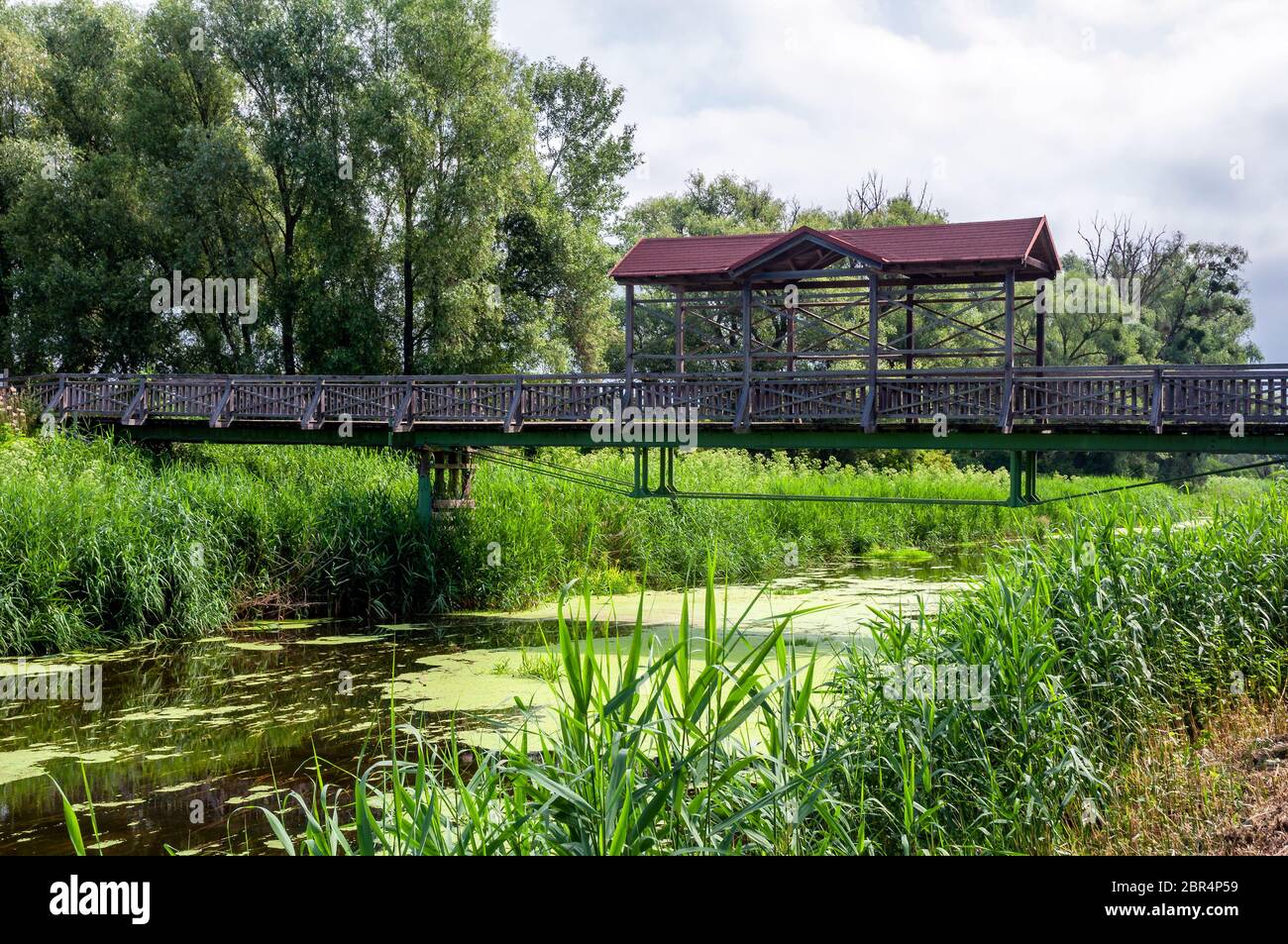 The Bridge at Andau was the escape route for about 70,000 Hungarian ...