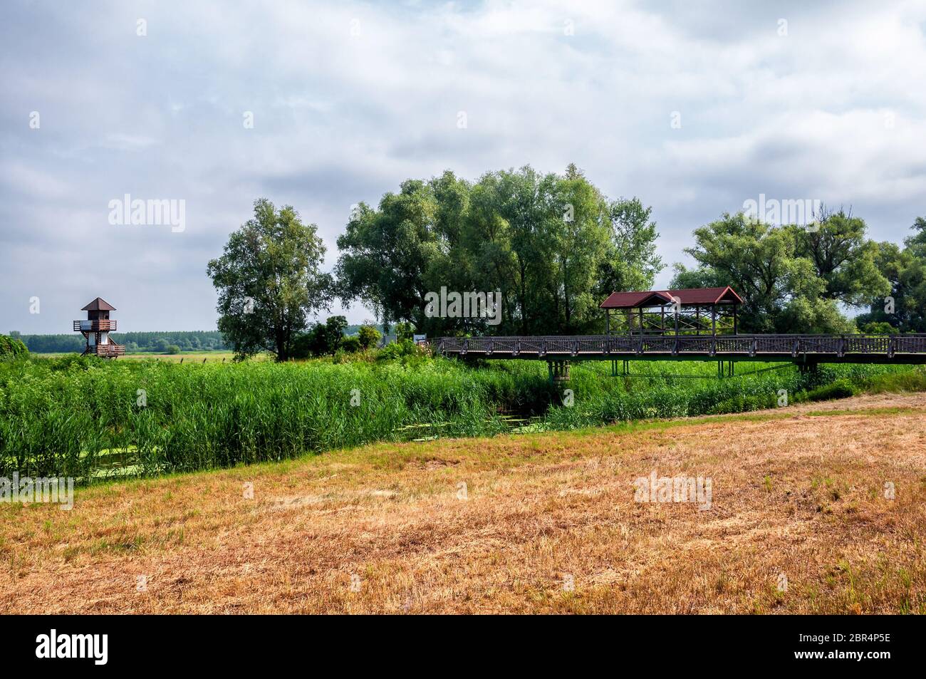 The Bridge at Andau was the escape route for about 70,000 Hungarian ...