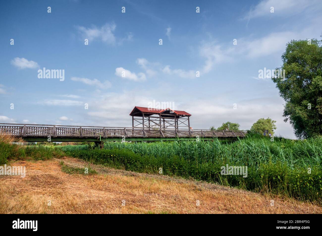 The Bridge at Andau was the escape route for about 70,000 Hungarian ...