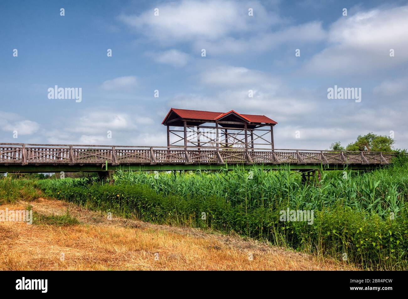 The Bridge at Andau was the escape route for about 70,000 Hungarian ...