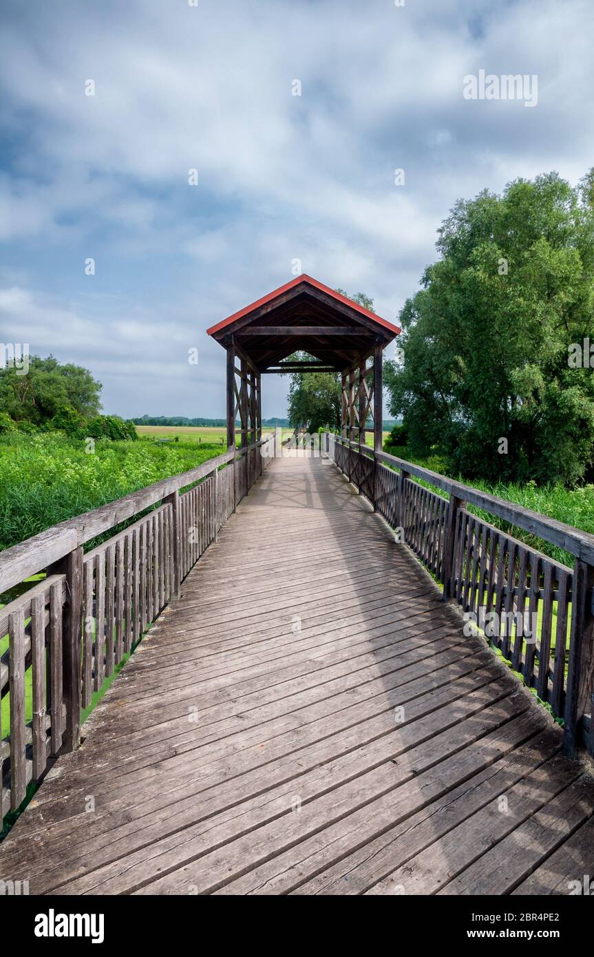 The Bridge at Andau was the escape route for about 70,000 Hungarian ...